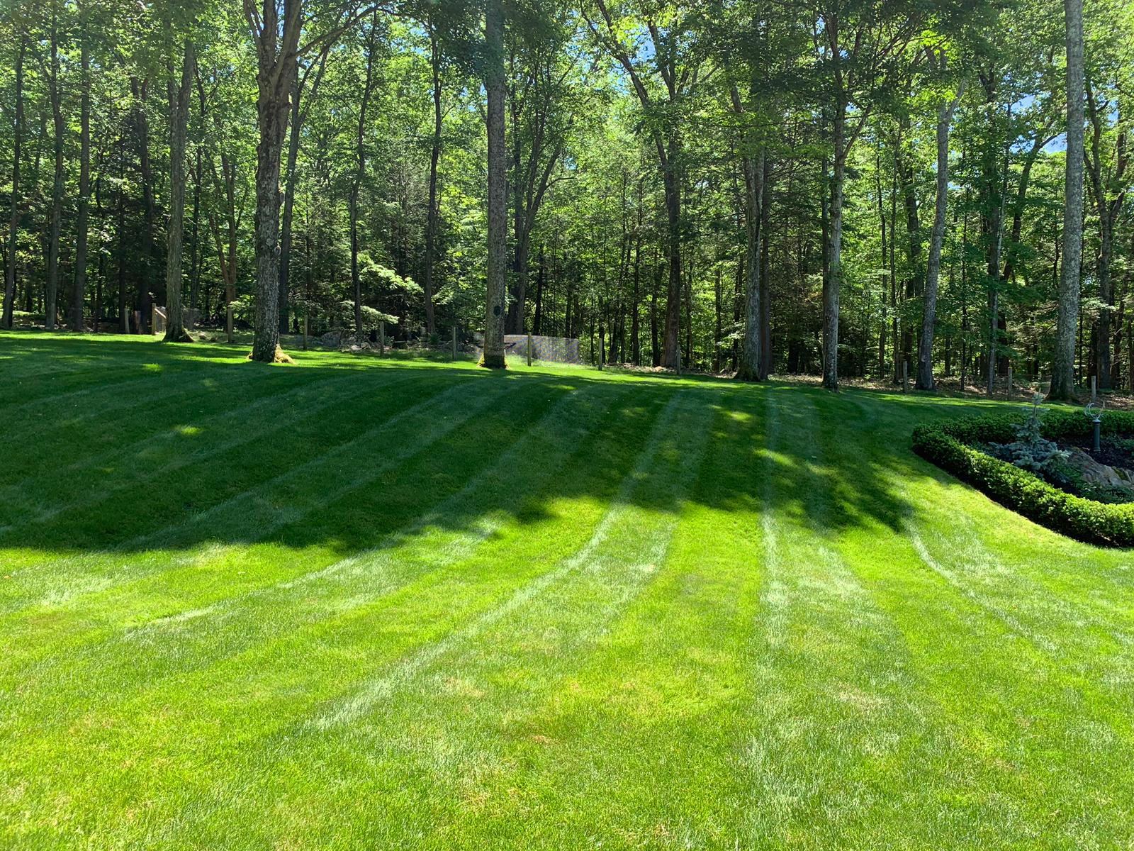 Lawn Mowing and Landscaping Morris, CT